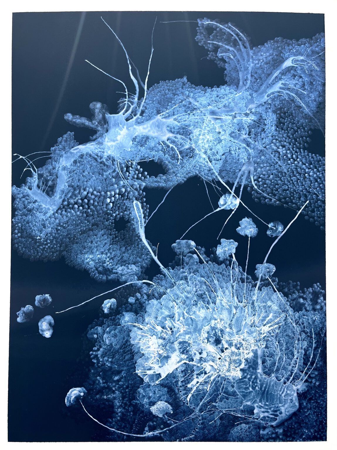 VER LO INVISIBLE – CHRISTINA LISSMANN